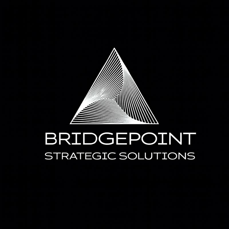 HOME - BridgePoint Strategic Solutions